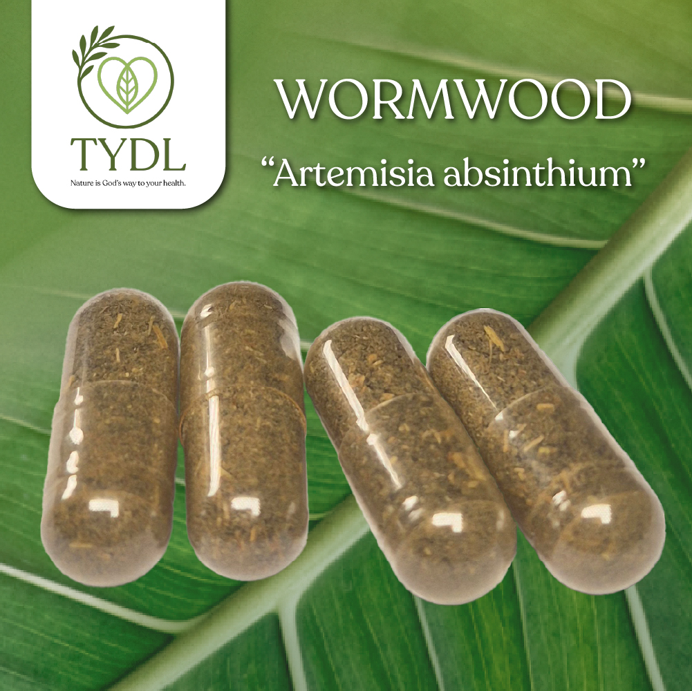 Wormwood – TYDL